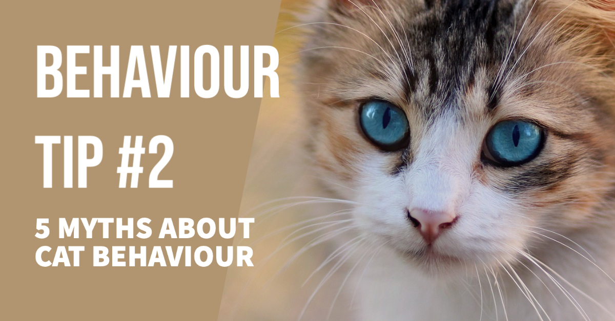Behaviour Tips – Sir James Dunn Animal Welfare Centre